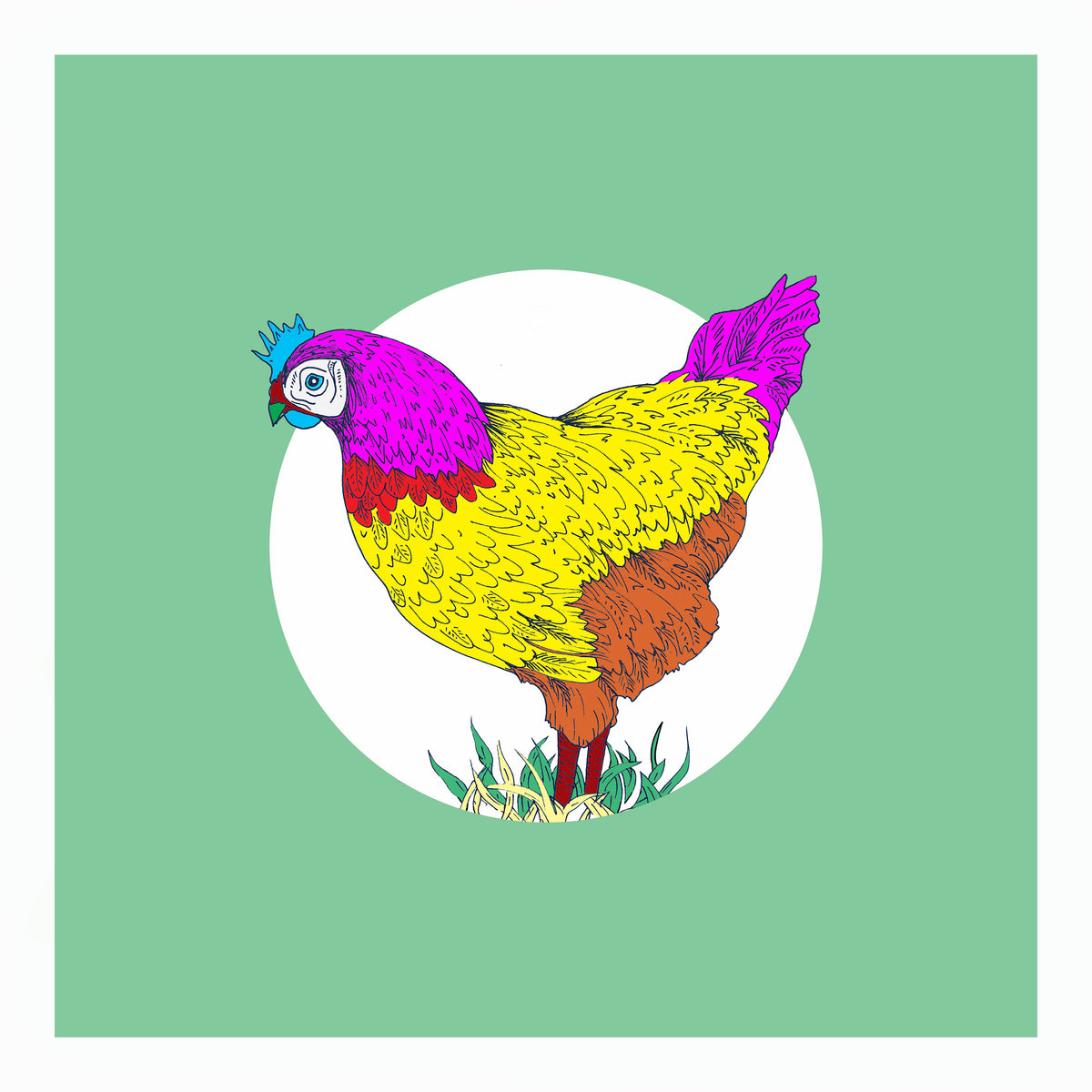 Funky Chicken – JetPictures